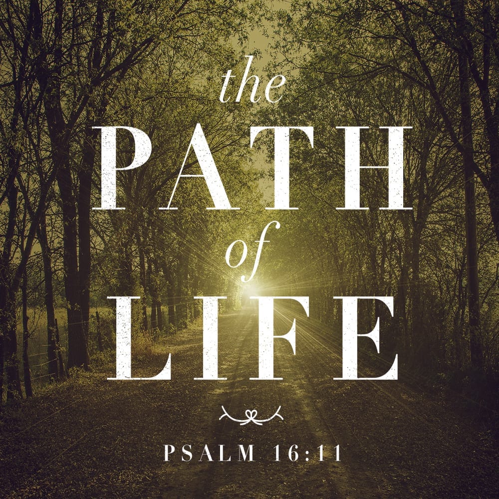 The Path Of Life - 8:30am - CD - WOF Family